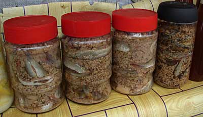 Fermented Fish - MySabah.com