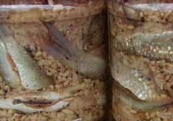 Fermented Fish - MySabah.com