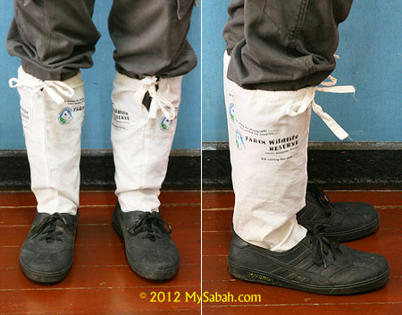 How to use and where to buy anti-leech sock? - MySabah.com