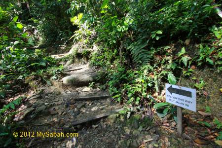 Poring Canopy Walkway, the highest in Sabah - MySabah.com
