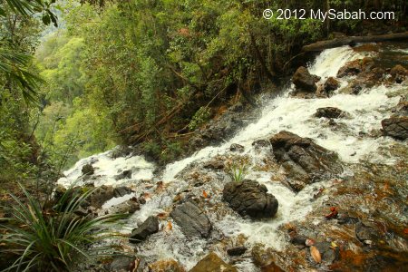 Gigantic Tawai Waterfall in Telupid, the Heart of Sabah - MySabah.com