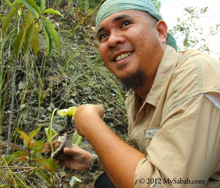 Things to do in Telupid, the Heart of Sabah - MySabah.com