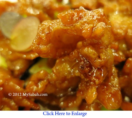 New WK Restaurant (Luyang) of Kota Kinabalu, Sabah - MySabah.com