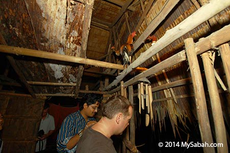 Sabah Longhouse and the Rungus - MySabah.com