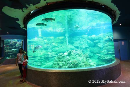 Underwater World of Aquarium & Marine Museum at University Malaysia ...