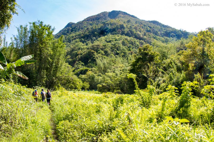 Climbing Mount Wakid (Gunung Wakid) - MySabah.com
