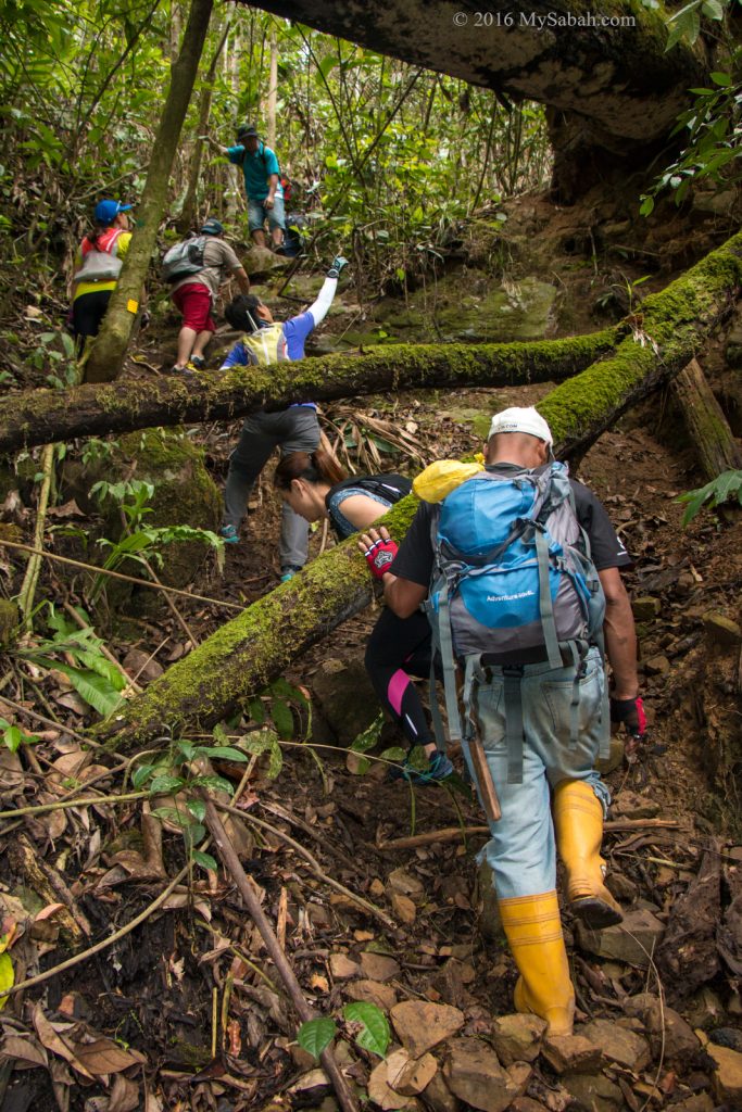 Climbing Mount Wakid (Gunung Wakid) - MySabah.com