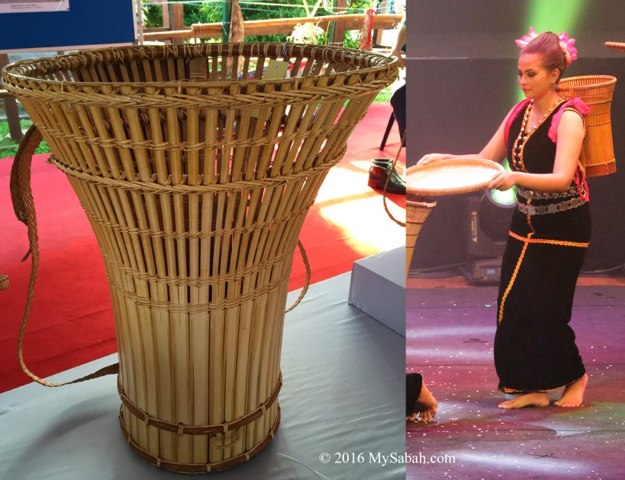 Climbing Mount Wakid (Gunung Wakid) - MySabah.com