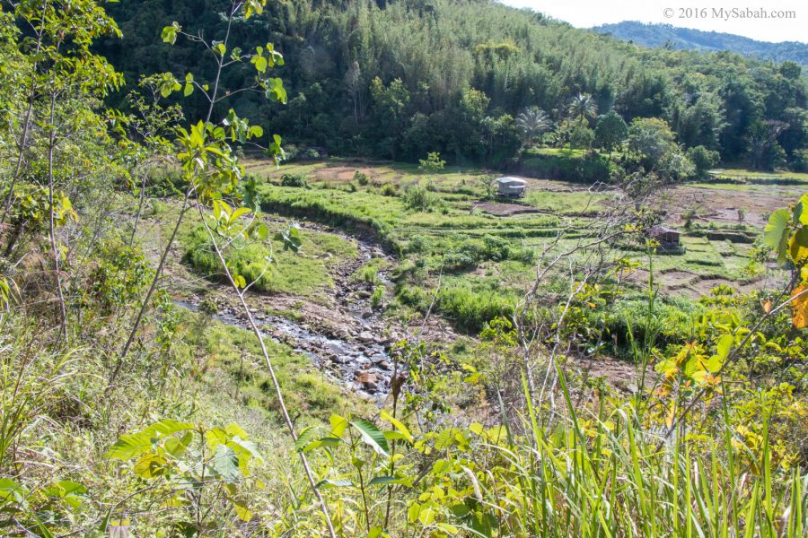 Climbing Mount Wakid (Gunung Wakid) - MySabah.com