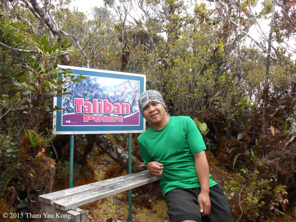 Guide to Climbing Mt. Trusmadi (Mt. Trus Madi) - MySabah.com