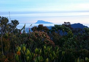 Guide to Climbing Mt. Trusmadi (Mt. Trus Madi) - MySabah.com
