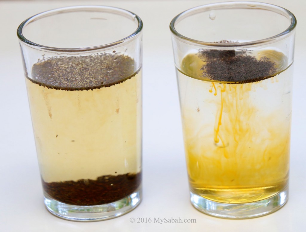 Sabah Tea Garden, the Organic Tea Farm of Borneo - MySabah.com