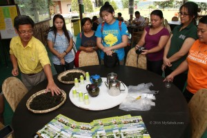 Sabah Tea Garden, the Organic Tea Farm of Borneo - MySabah.com