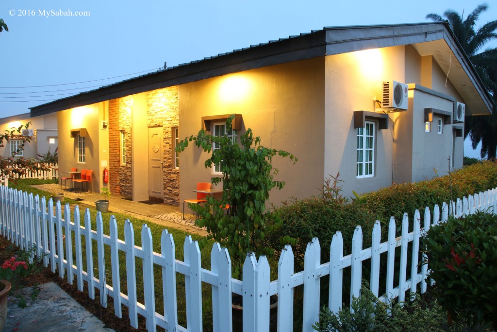 Sabah Tea Garden, the Organic Tea Farm of Borneo - MySabah.com