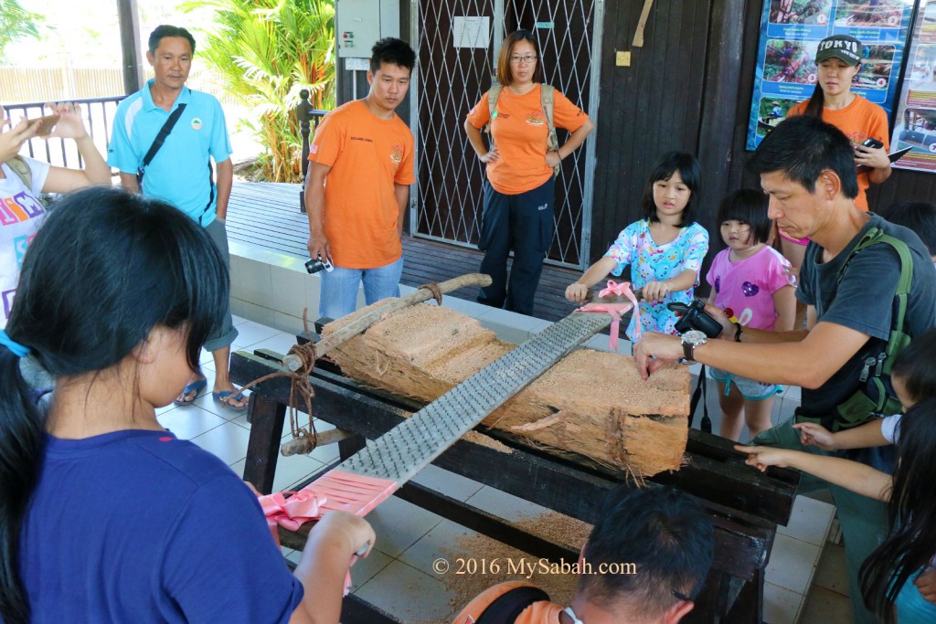 Rumbia Information Center, all about Sago - MySabah.com