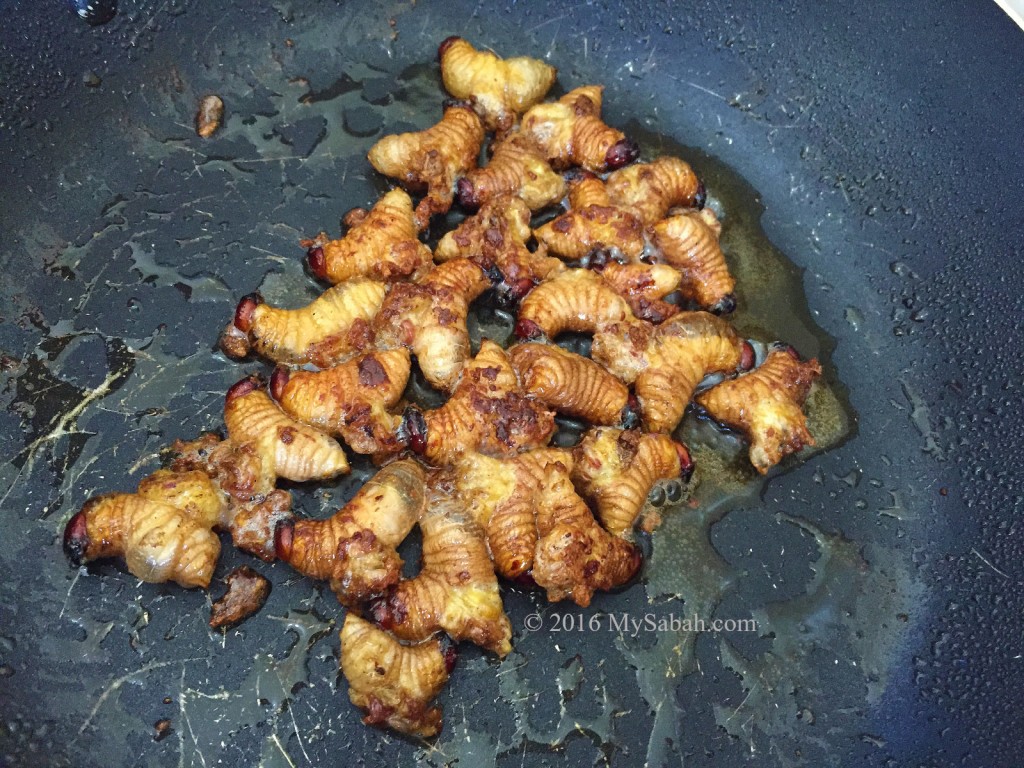 Sago Grub (Butod), the Most Bizarre Food of Borneo - MySabah.com