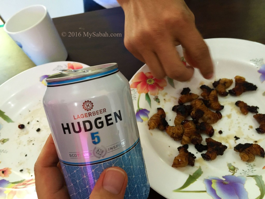 Sago Grub (Butod), the Most Bizarre Food of Borneo - MySabah.com