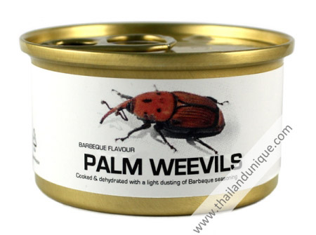 Sago Grub (Butod), the Most Bizarre Food of Borneo | MySabah.com