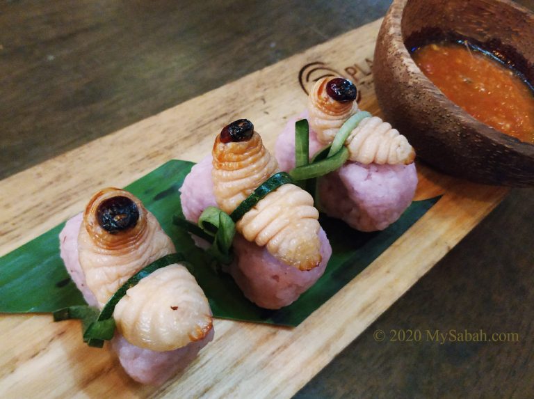 Sago Grub (Butod), the Most Bizarre Food of Borneo - MySabah.com