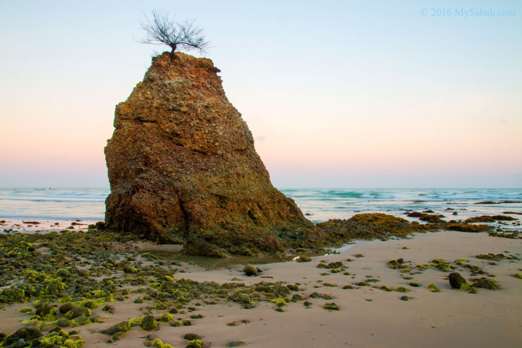 Batu Luang, the Rock that ate the Bride - MySabah.com