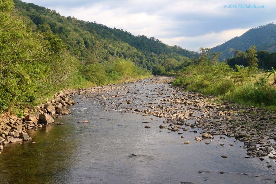 Kiulu Farmstay at the Valley in the Mist - MySabah.com