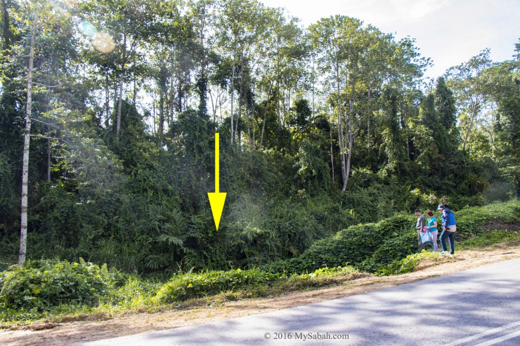 Mud Volcano in Kalabakan (Sabah) - MySabah.com