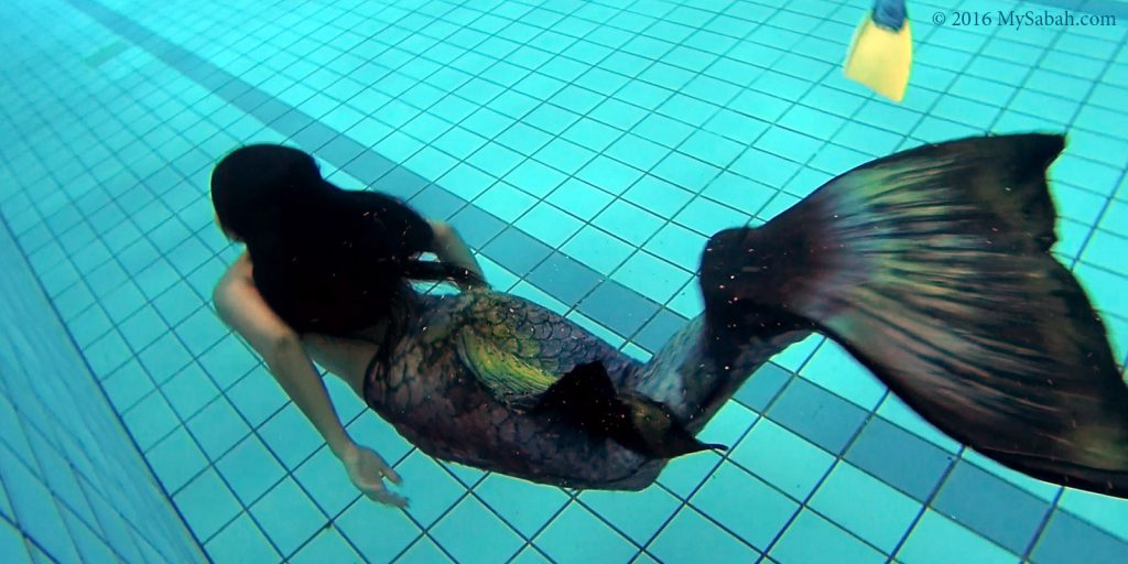Mermaids coming to Sabah - MySabah.com