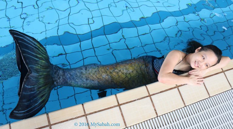 Mermaids coming to Sabah - MySabah.com