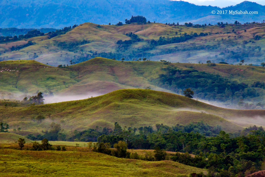 Stargazing in Sabah - MySabah.com