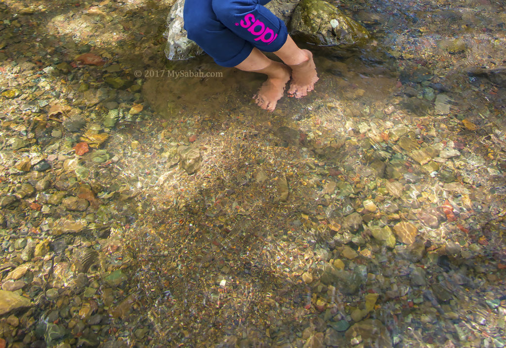 Serinsim and something about Sabah Rivers - MySabah.com
