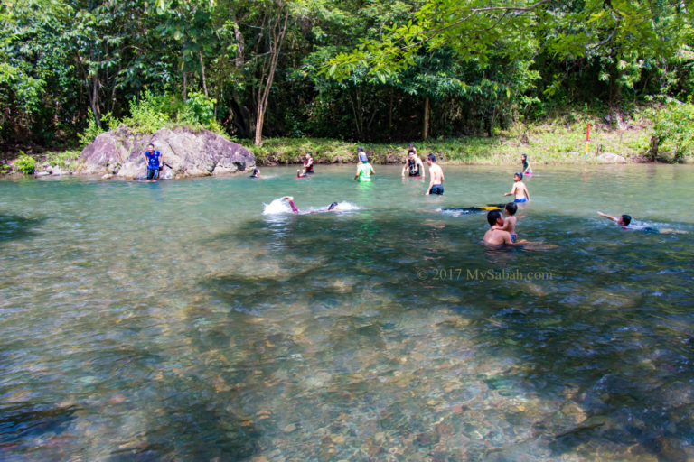 Serinsim, a different face of Kinabalu Park - MySabah.com