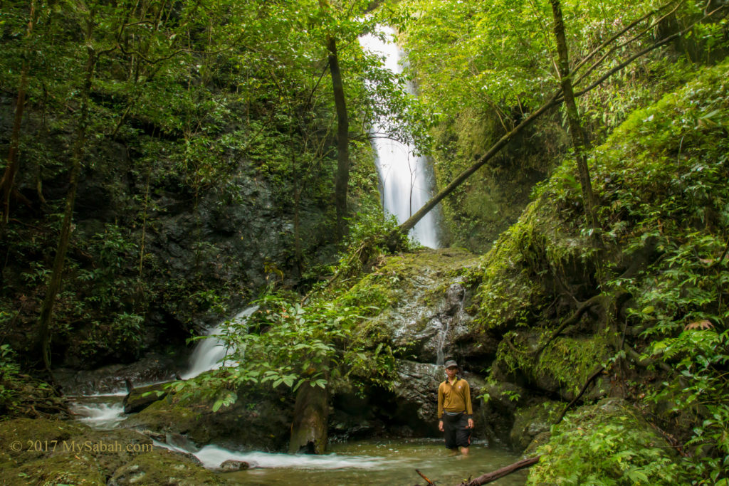 Serinsim, a different face of Kinabalu Park - MySabah.com