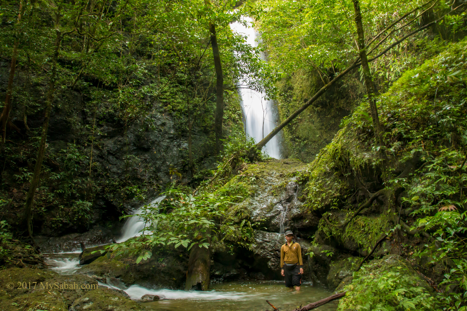Serinsim, a different face of Kinabalu Park - MySabah.com