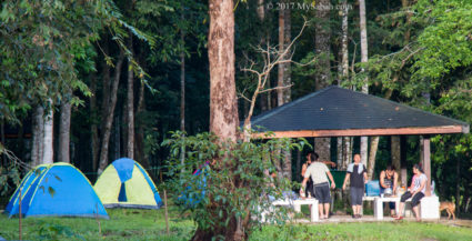 Serinsim, a different face of Kinabalu Park - MySabah.com