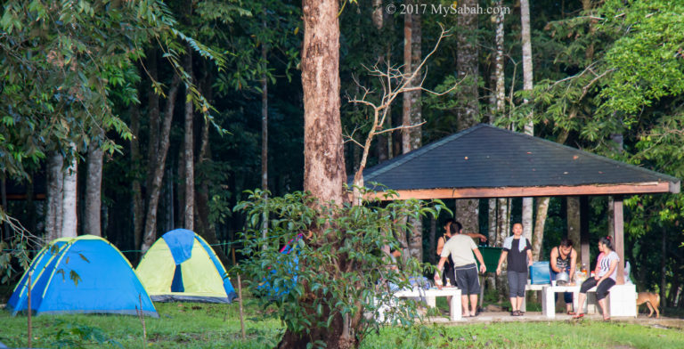 Serinsim, a different face of Kinabalu Park - MySabah.com