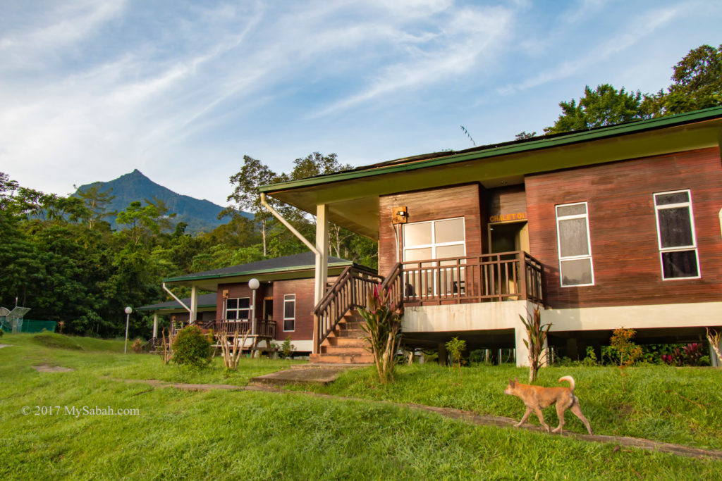 Serinsim, a different face of Kinabalu Park - MySabah.com
