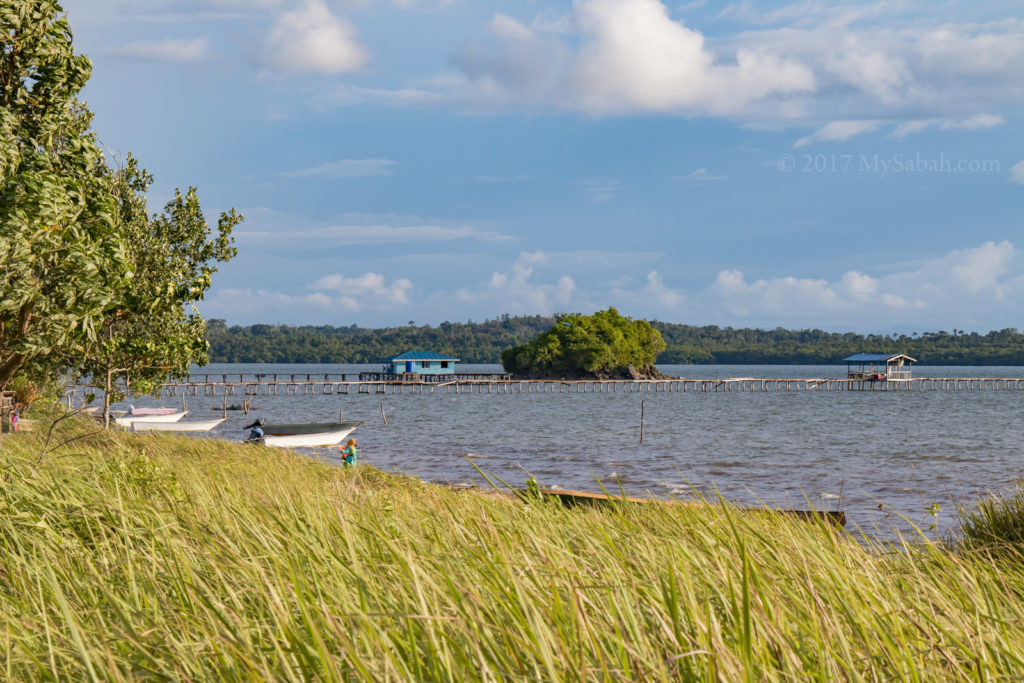 Malubang, a beautiful fishing village in Pitas - MySabah.com