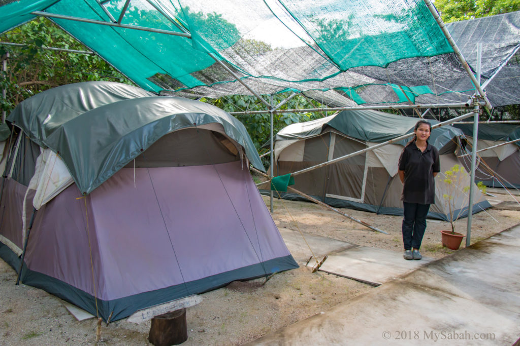 Turtle Sanctuary and Glamping at Libaran Island - MySabah.com
