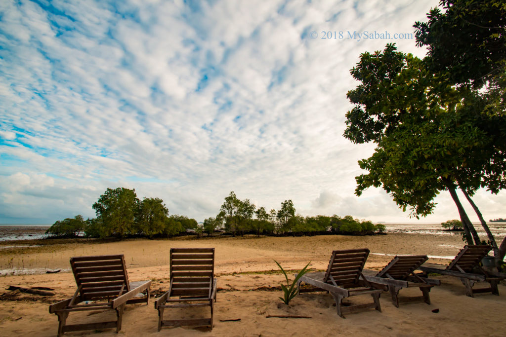 Turtle Sanctuary and Glamping at Libaran Island - MySabah.com
