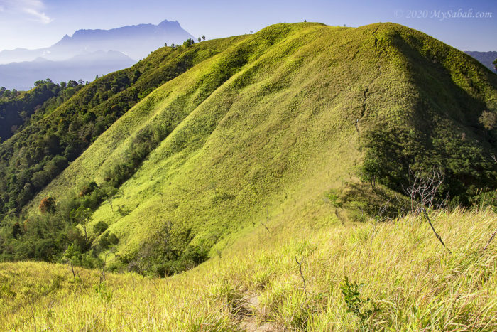 Climbing Bukit Bongol (Bongol Hill) of Kota Belud - MySabah.com