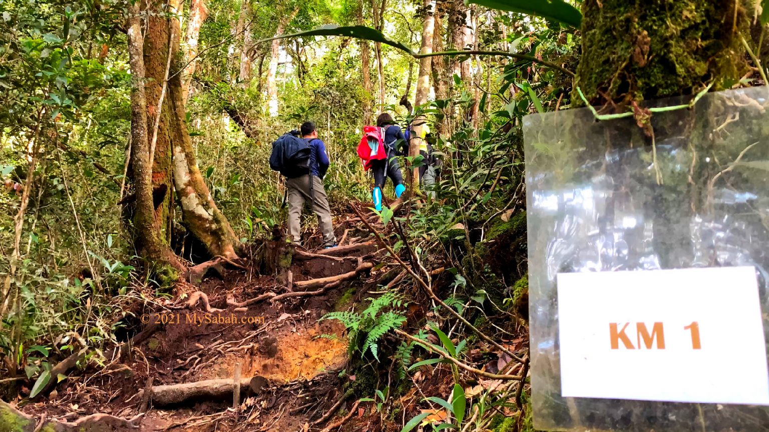 Why You Should Climb Maragang Hill - MySabah.com