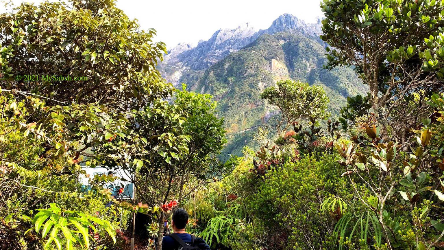 Why You Should Climb Maragang Hill - MySabah.com