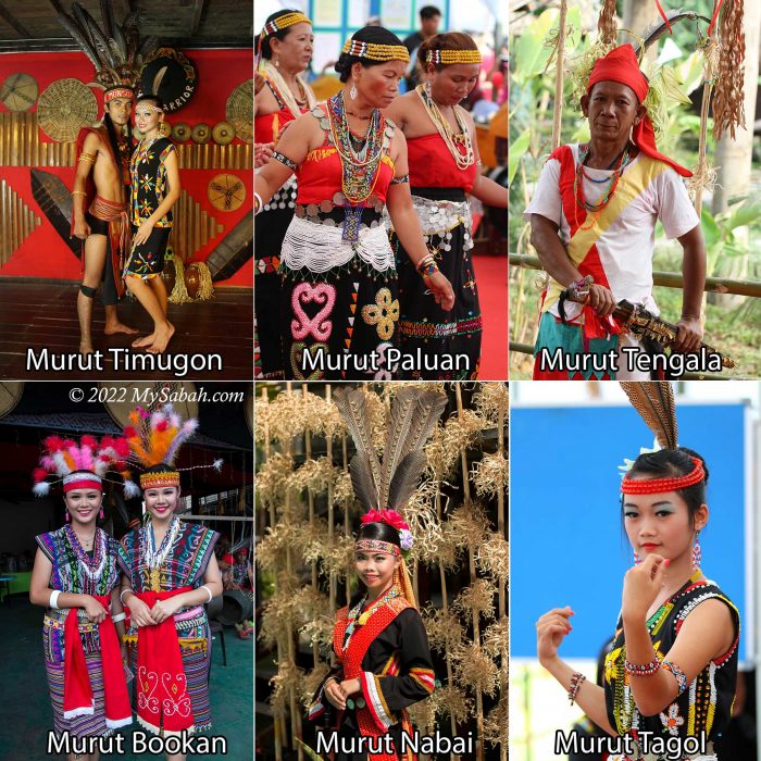 Murut Cultural Center, the Largest Ironwood Building of Borneo ...