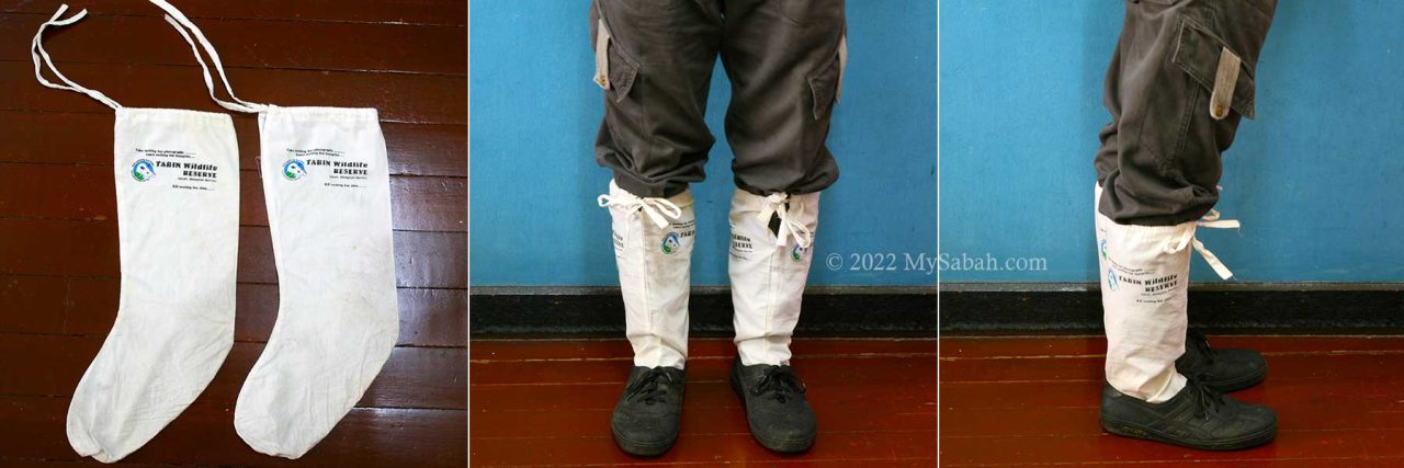 How to use and where to buy anti-leech sock? - MySabah.com