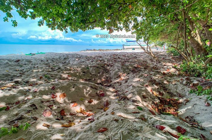 Turtle Islands Park, the Best Turtle Sanctuary of Borneo - MySabah.com