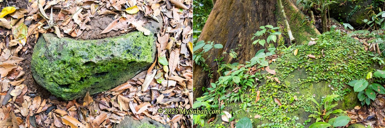 Climbing Bombalai Hill, an Ancient Volcano - MySabah.com